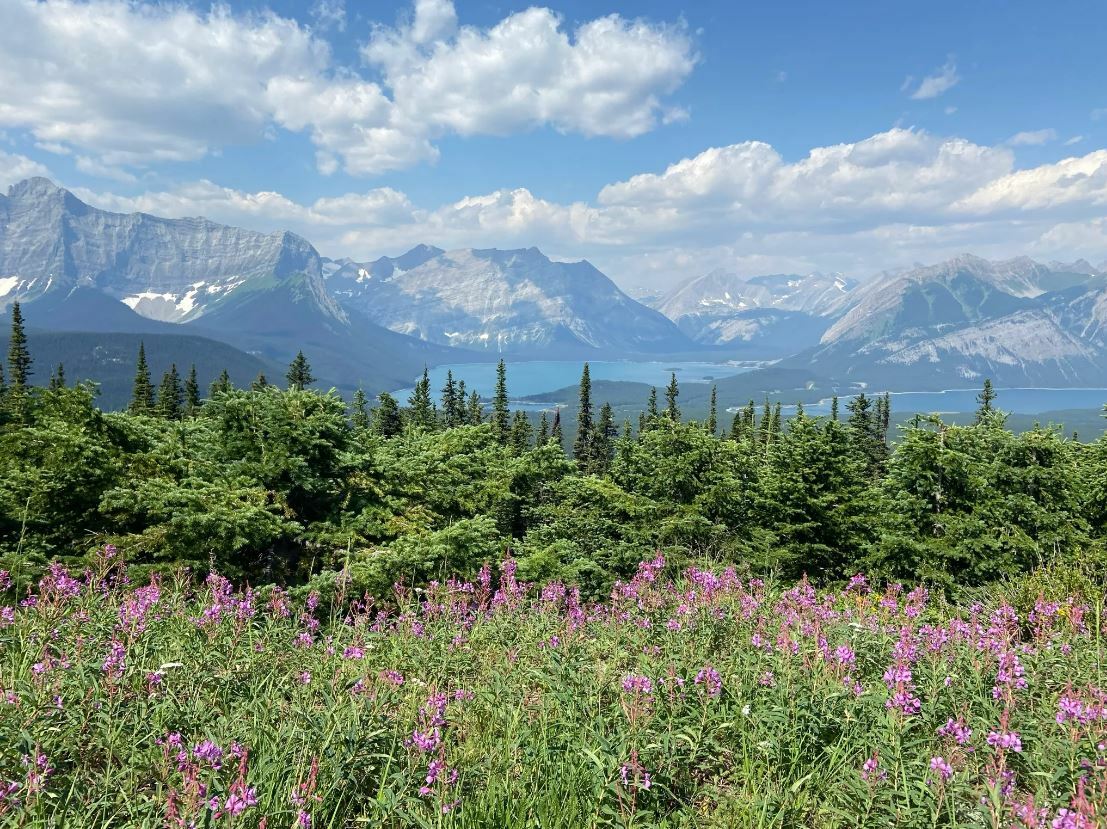 Kananaskis Lookout Hike - Events - Calgary Ski Club