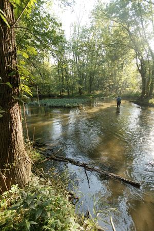 Home - Ohio Scenic Rivers Association