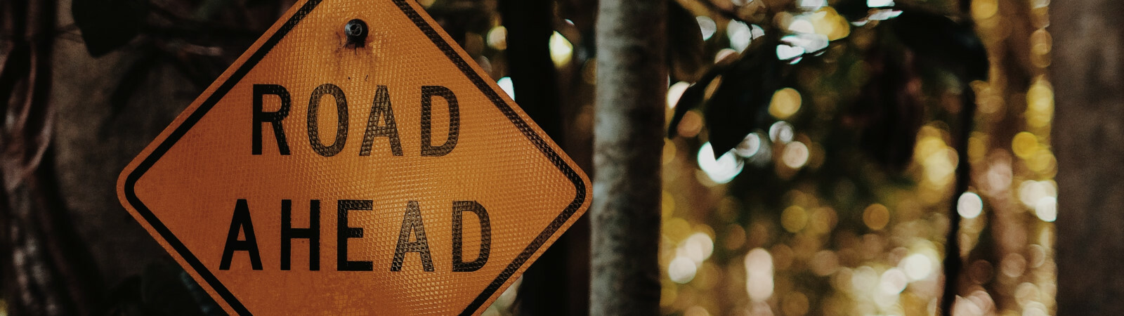 Mission Statement - Federal Probation and Pretrial Officers Association