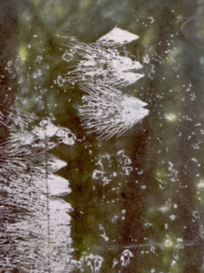 Pareidolia 2.2: Awakening Our Unconscious with Terry Frishman (P ...