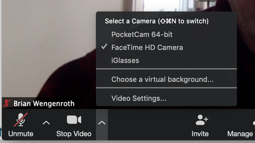Zoom Video Controls
