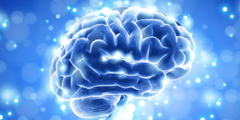 The Aging Brain - Events - Penn's Village