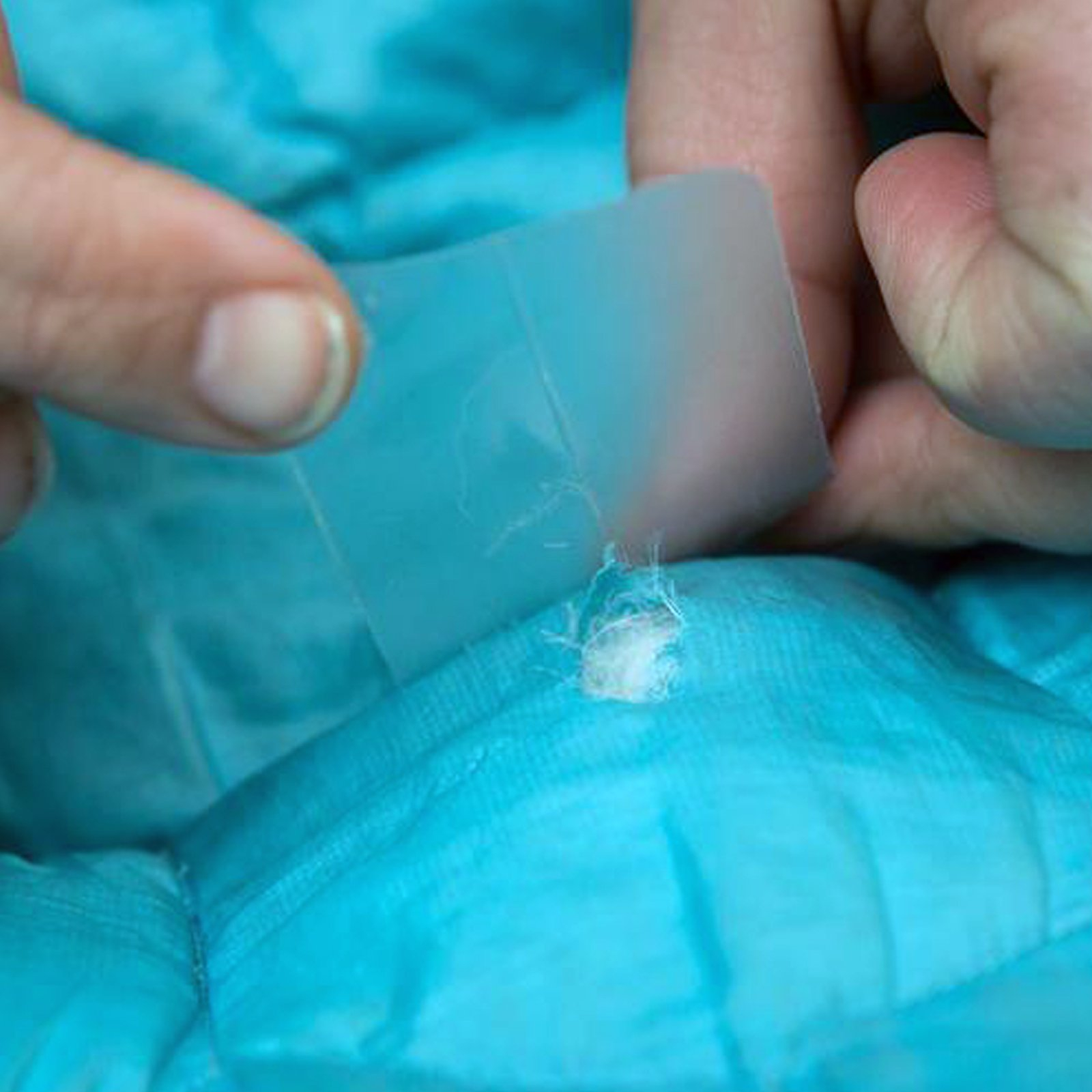 GEAR AID Tenacious Tape Mini Patches to Repair Jackets Tents Rain Gear ...