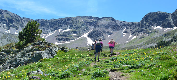 Wildlife in the Changing Andorran Pyrenees