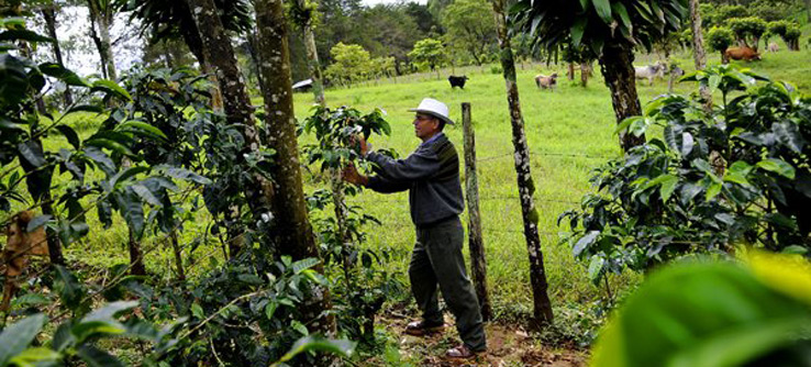 Costa Coffee Green Community