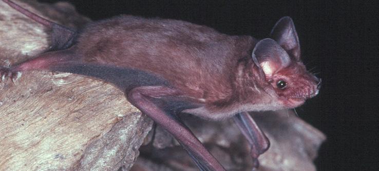 Letter to my Teacher | Dranna's Blog