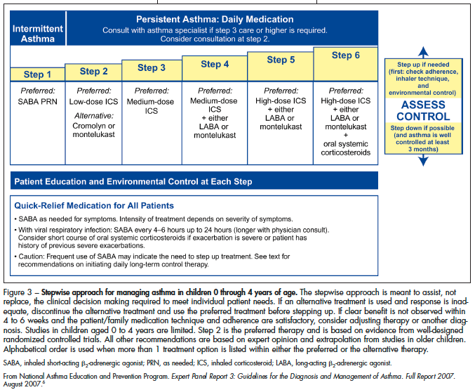 A Guide to Monitoring and Achieving Asthma Control in ChildrenYounger ...