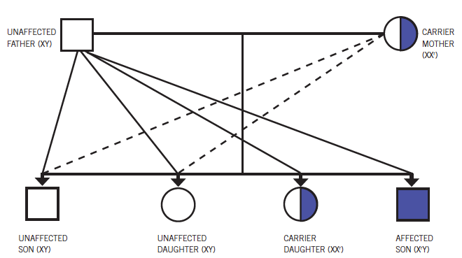 Becker Muscular Dystrophy: Diagnosis and Lifelong Management ...