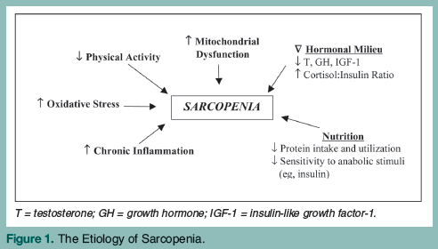 Prescribing Exercise for Older Men | Consultant360
