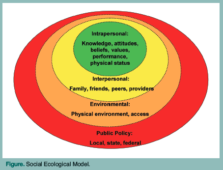 Changing and Maintaining Health Behaviors: Adherence and Compliance ...