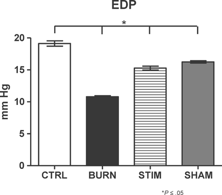 Burn-Induced Organ Dysfunction: Vagus Nerve Stimulation Improves ...