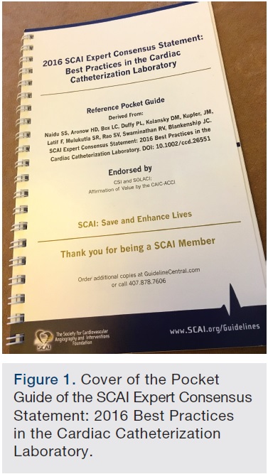 Best Practices in the Cardiac Cath Lab: 2016 Consensus Statement from ...