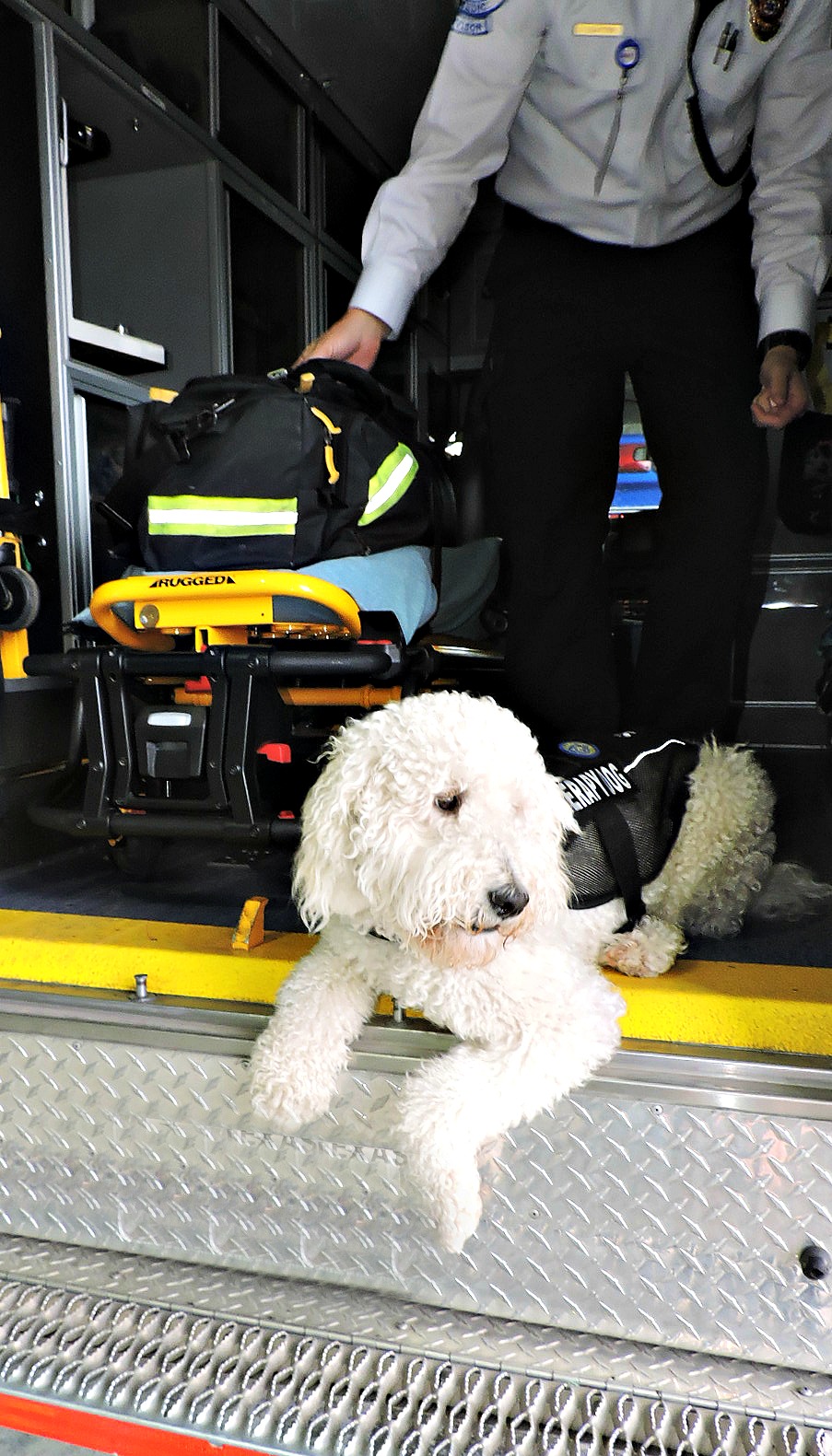 AMR Therapy Dog Team: Providing Comfort for the Providers