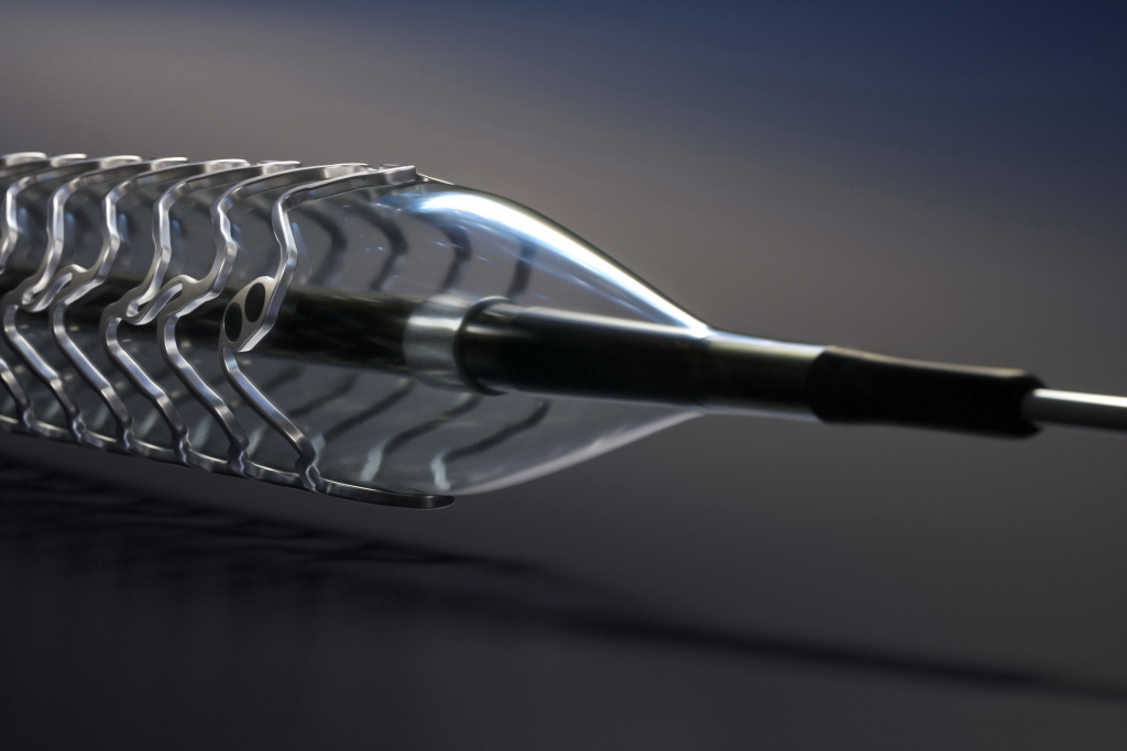 BIOTRONIK Announces CE Mark for Magmaris, the First Clinically Proven ...