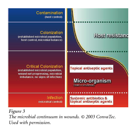 Bacterial Growth Guideline: Reassessing its Clinical Relevance in Wound ...