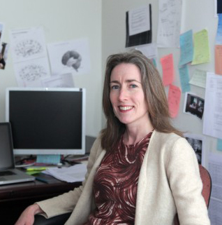 Gut Bacteria Profiles Linked With Brain, Emotion Differences
