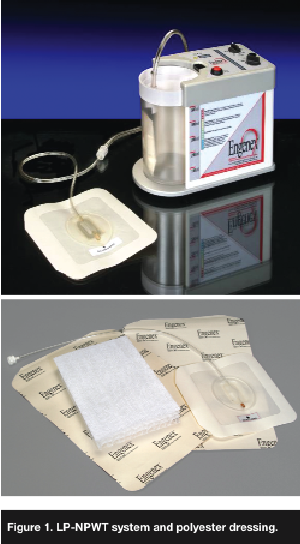 Using Low Pressure, NPWT for Wound Preparation & the Management of Split-Thickness Skin Grafts ...