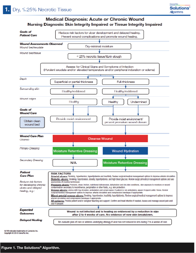 Wound Care Treatment Algorithm at Robert Connors blog