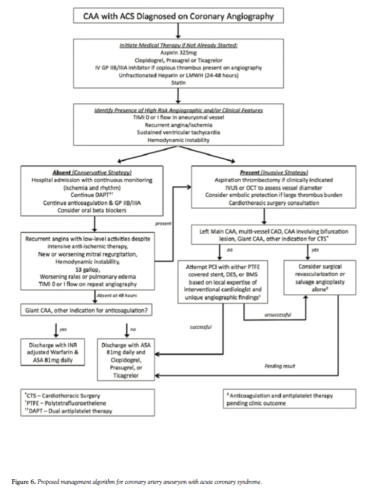 Coronary Artery Aneurysms in Acute Coronary Syndrome: Case Series ...