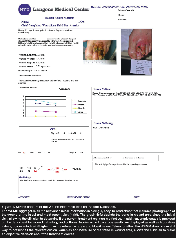 Wound Emergencies: The Importance of Assessment, Documentation, and ...