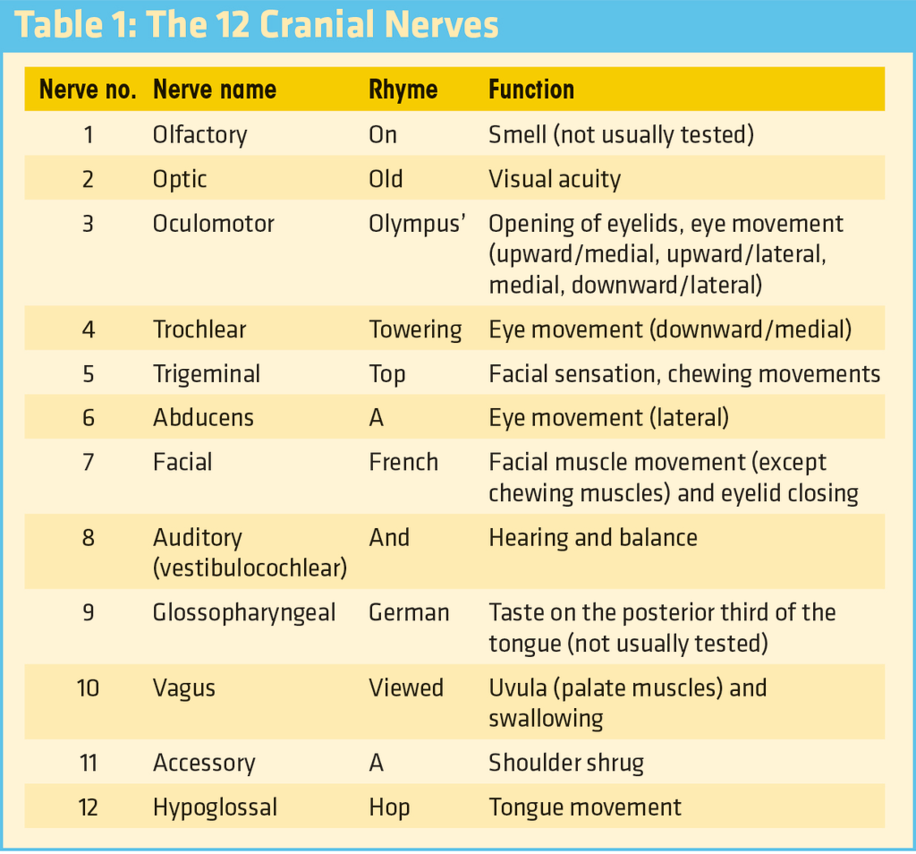 Neurotrauma Review Series Part 1 Why Evaluate The Cranial Nerves 