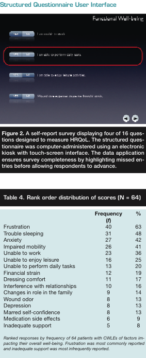 Using a Structured, Computer-Administered Questionnaire for Evaluating ...