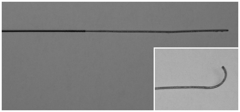 Successful Crossing of an Angulated Lesion Using a New Deflectable-Tip ...