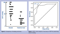 Importance of Skin Perfusion Pressure in Treatment of Critical Limb ...