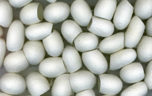 The art of cocooning - Kind Over Matter