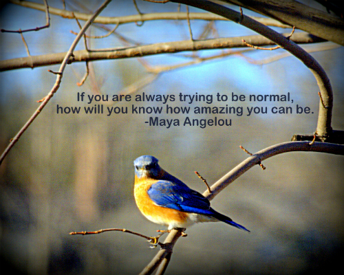 Know how amazing you can be - Kind Over Matter