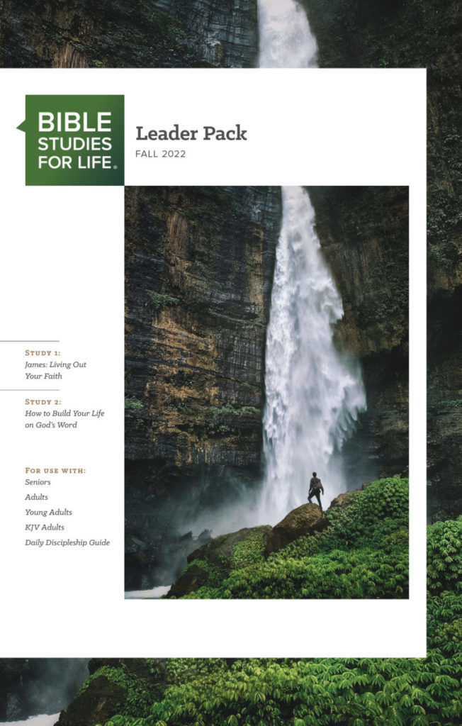 Bible Studies for Life Customizable Group Plans - Bible Studies for Life