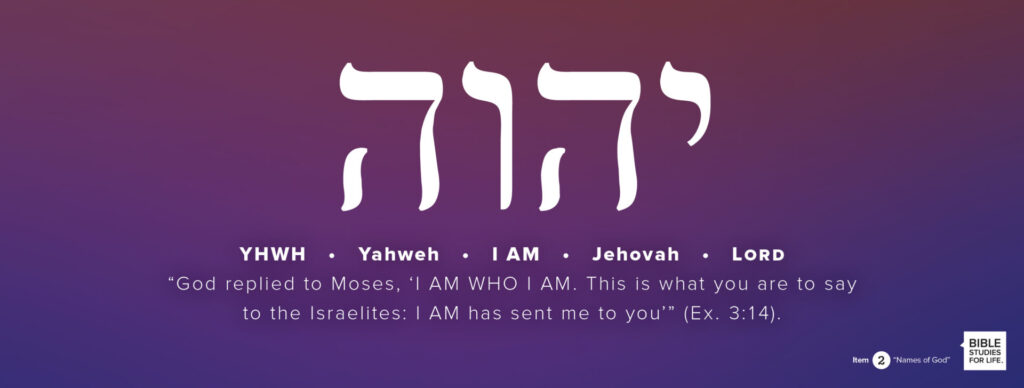 Bible Studies for Life Adult Leader Pack - Bible Studies for Life