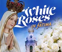 America Needs Fatima | ANF Site Articles