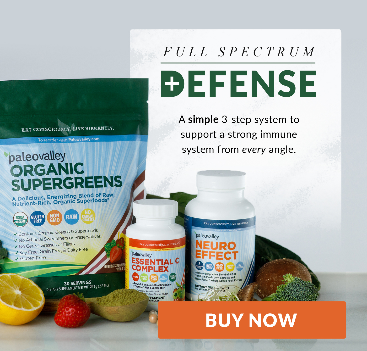 Paleovalley | Welcome