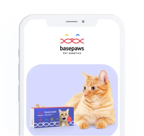 Wagtopia: Best Microchip Registry, Passive Geolocation Smart Tags, and ...