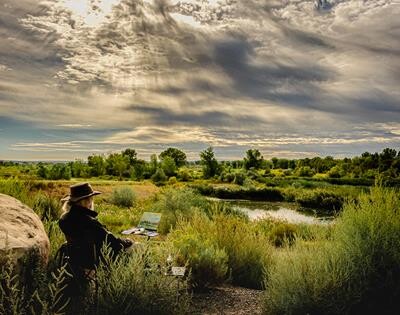 Dan Weeks Gallery of Original Fine Art