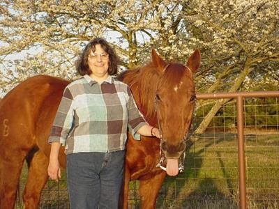 Susan Barackman Gallery of Original Fine Art