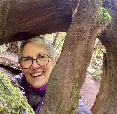 Cindy Reed Gallery of Original Fine Art