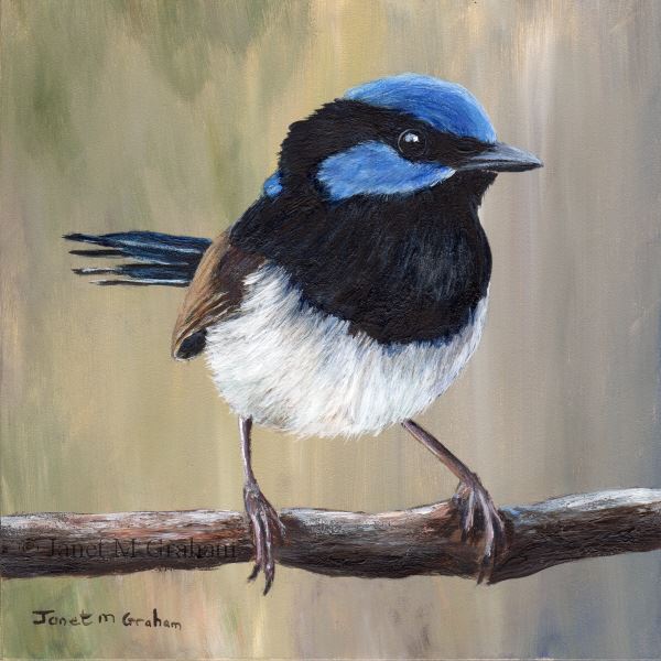 Janet Graham Gallery of Original Fine Art