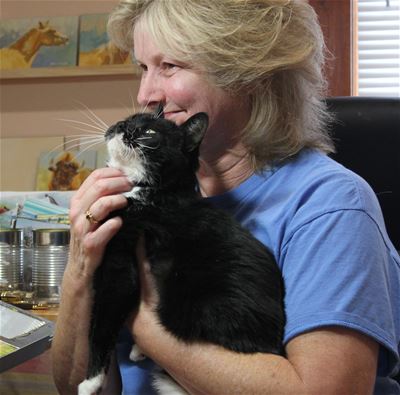 Susan Ashmore Gallery of Original Fine Art