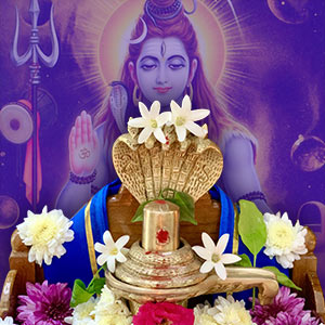 Shiv Puja, Shiv Puja Online on Shivratri, Mahadev Puja Vidhi, Puja with ...