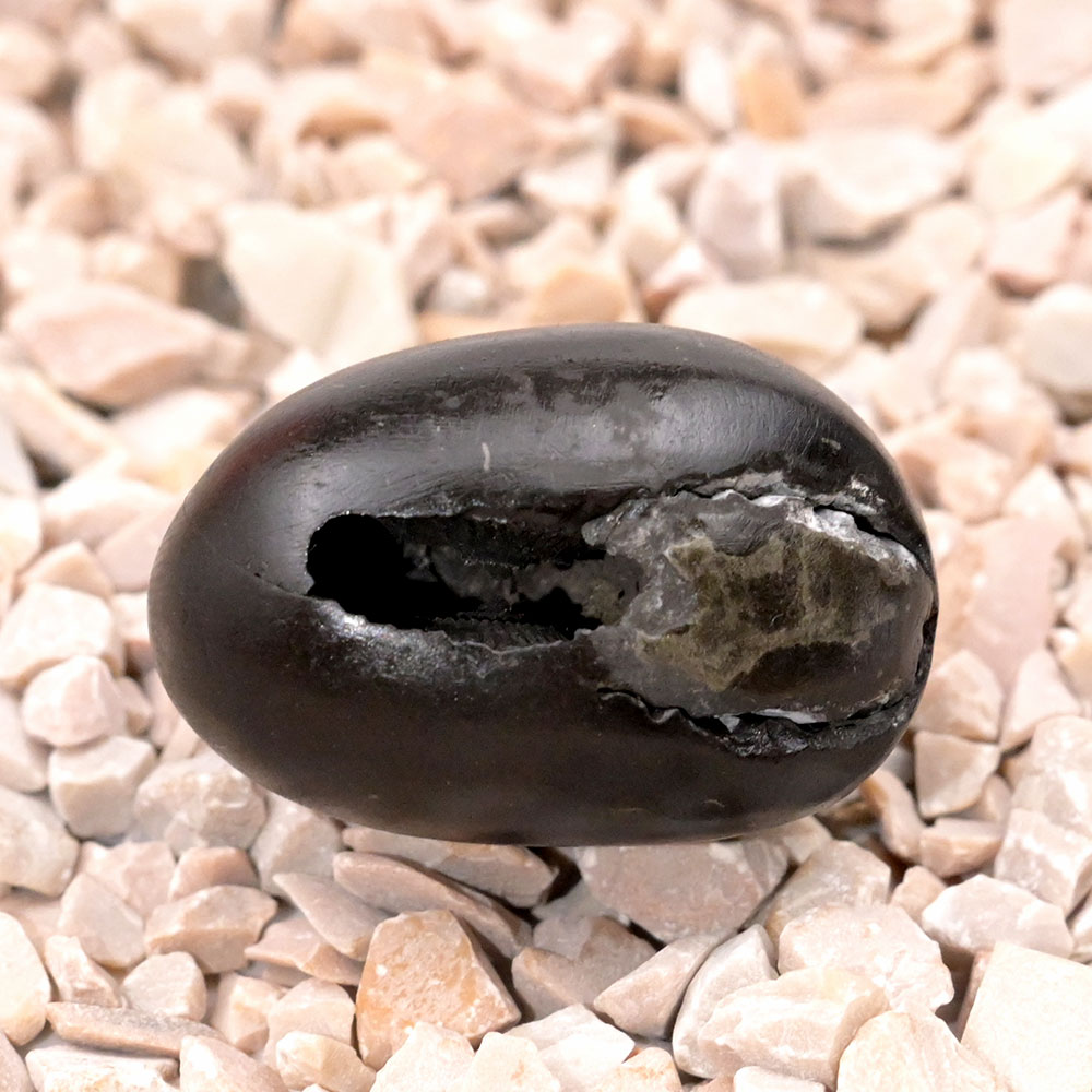 Chakradhari Vishnu Shaligram Shila - V