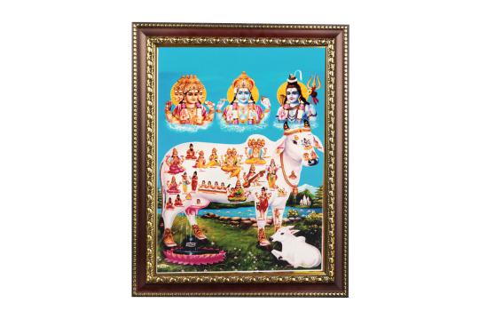 Gomatha Photo Medium - Rudra Centre