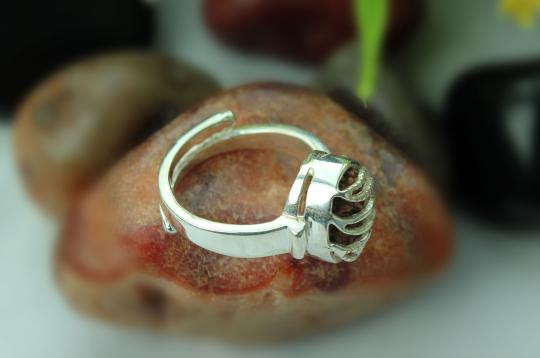 15 Mukhi Rudra Ring - Rudra Centre
