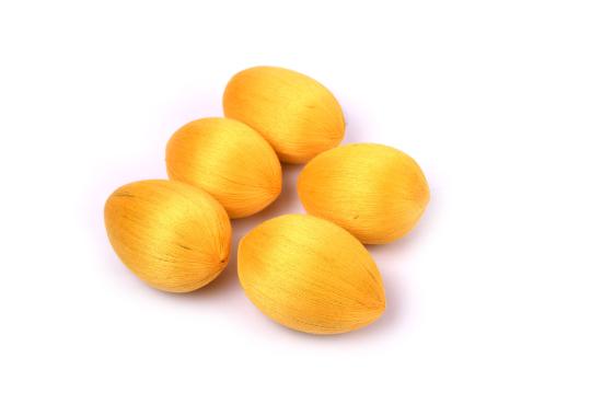 Coconut (Nariyal) - Rudra Centre