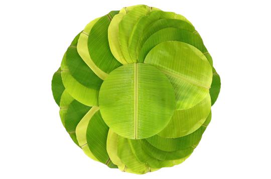 Buy Fresh Banana Leaves Online | Banana Leaf Online - Rudraksha Ratna ...