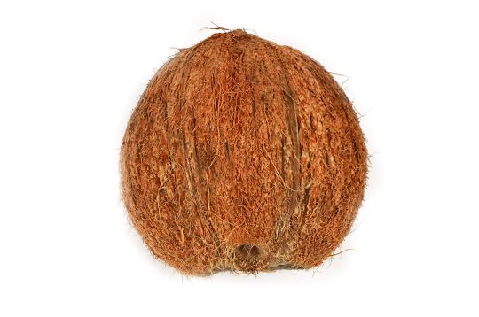 4 Eyed Coconut - Rudra Centre