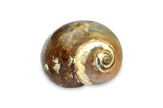 Grahanakshatra Roopini (The Goddess who is the form of Stars and ...