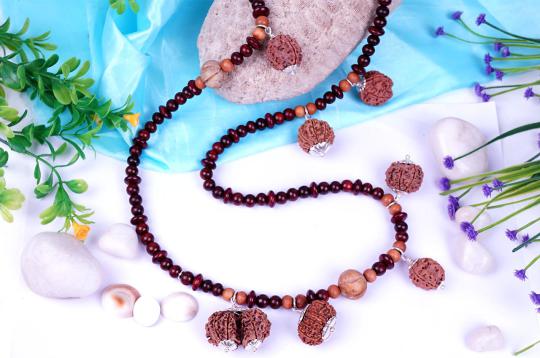 Rudraksha Ratna About 6 Mukhi Rudraksha – Hindu Festivals