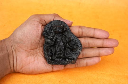 Varaha Shaligram Murti - III - Rudra Centre